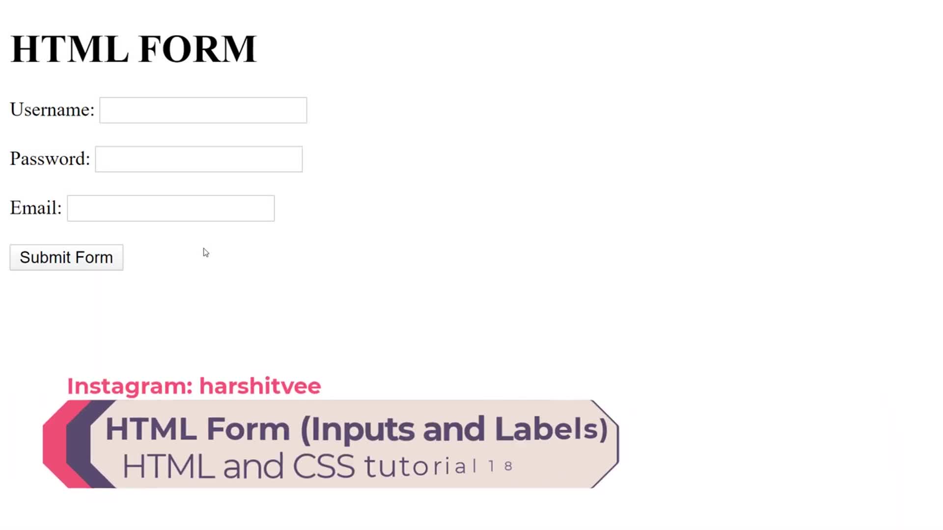 Class 20 - HTML Form Part1: Input and Labels (Tutorial 18)